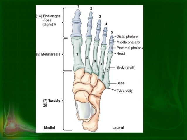 Advanced radiographic positions for the lower extremities