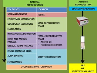 ADVANCED SPERM PREPARATION TECHNIQUES.pptx