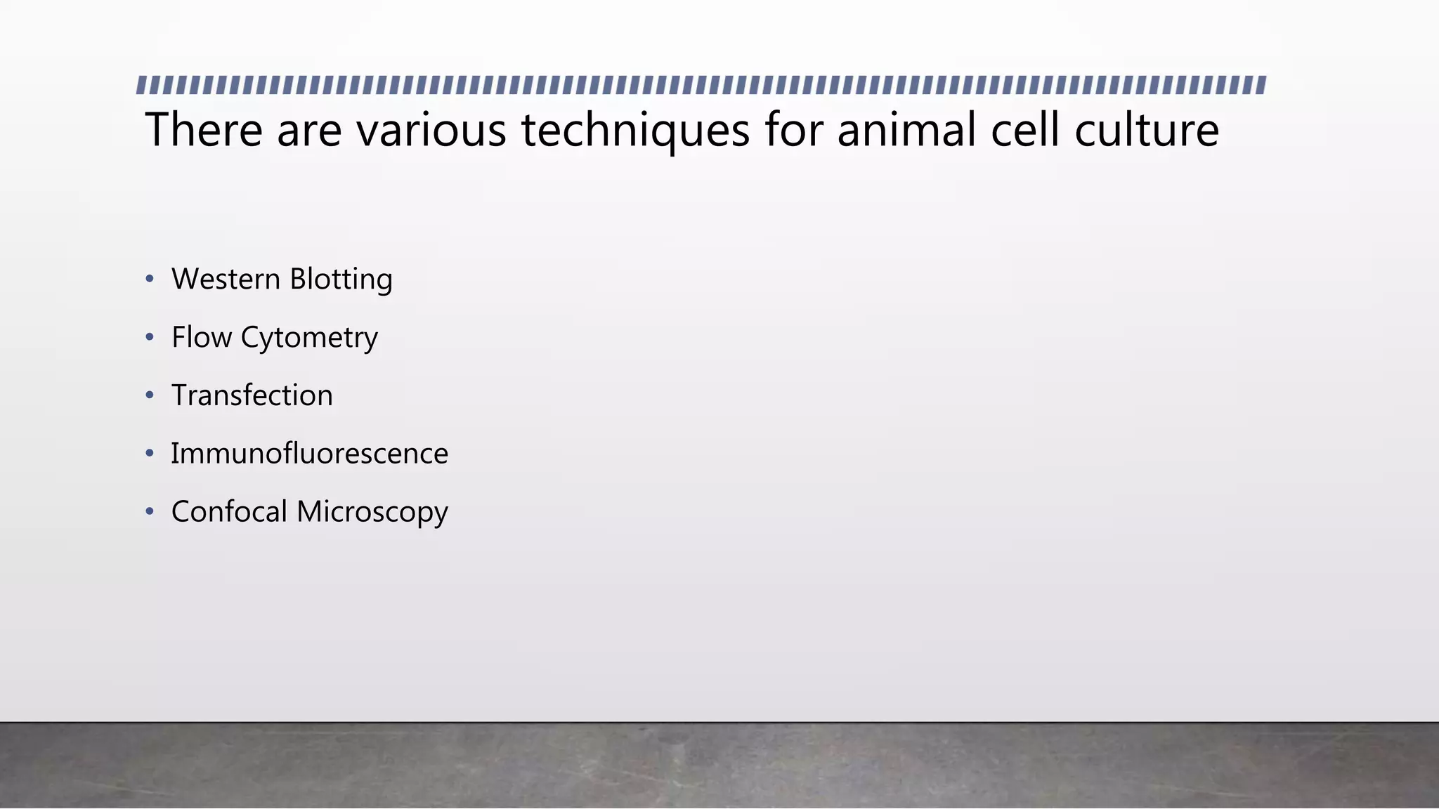 Advanced techniques in animal cell culture | PPTX