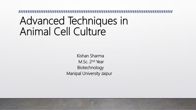 Advanced techniques in animal cell culture | PPT