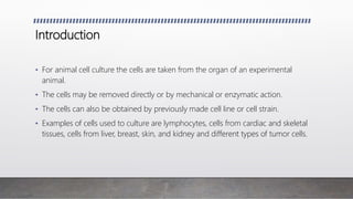 Advanced techniques in animal cell culture | PPT