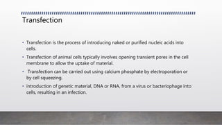 Advanced techniques in animal cell culture | PPT