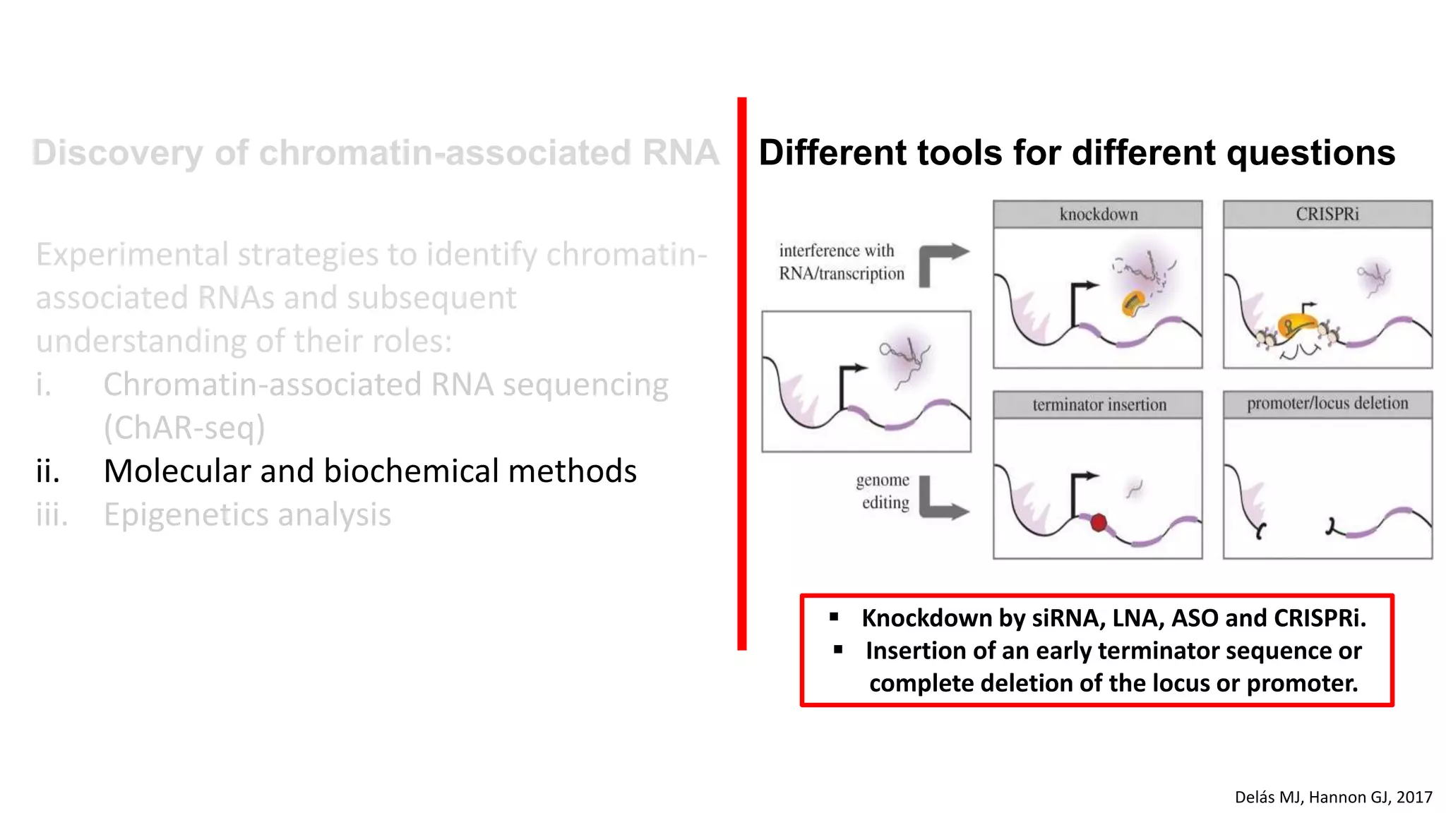 Regulatory RNA at epigenetic level | PPTX