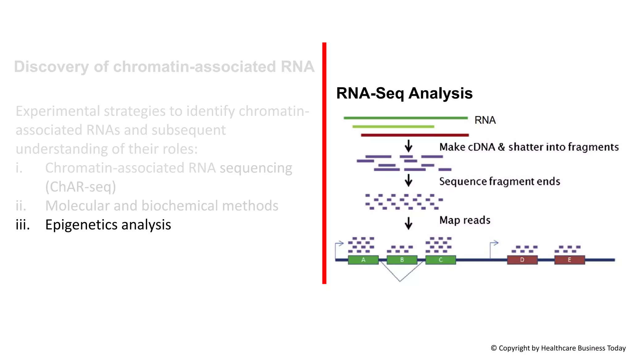Regulatory RNA at epigenetic level | PPTX