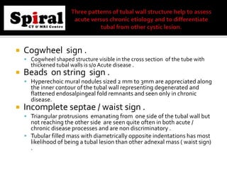 Advanced usg lounge gynaecology imaging series | PPTX | Pregnancy ...
