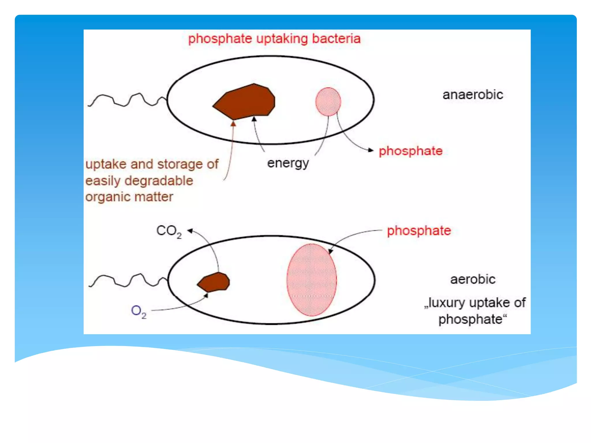 Advanced wastewater treatment | PPTX