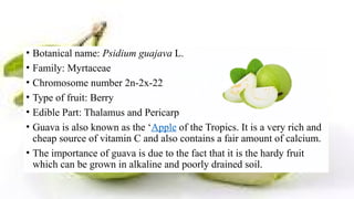 Advance in breeding of guava with suitable breeding.pptx