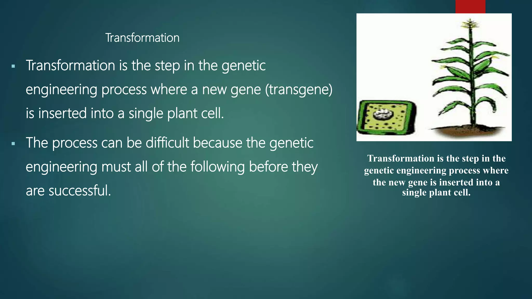 Advance in genetic engineering ppt | PPT