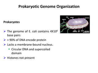 Advance in plant biotechhnology | PPTX