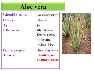Advance in production techonology of Alovera.pptx | Agriculture | Industries