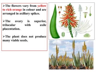 Advance in production techonology of Alovera.pptx | Agriculture ...