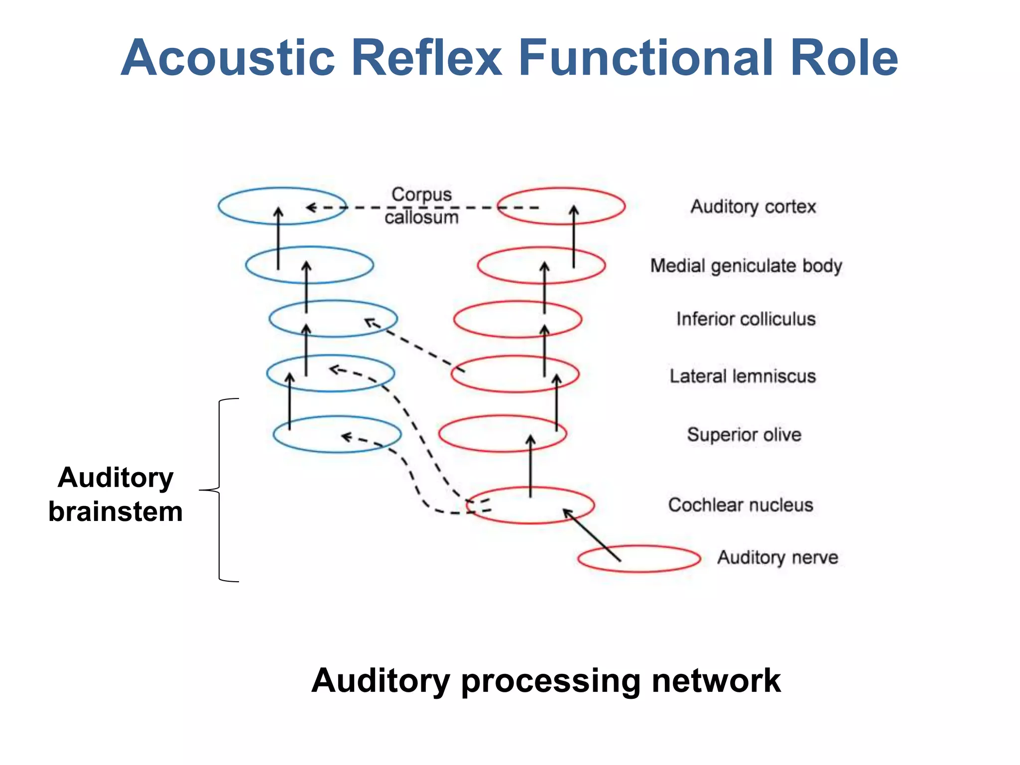 Advancement in acoustic reflex measures | PPTX