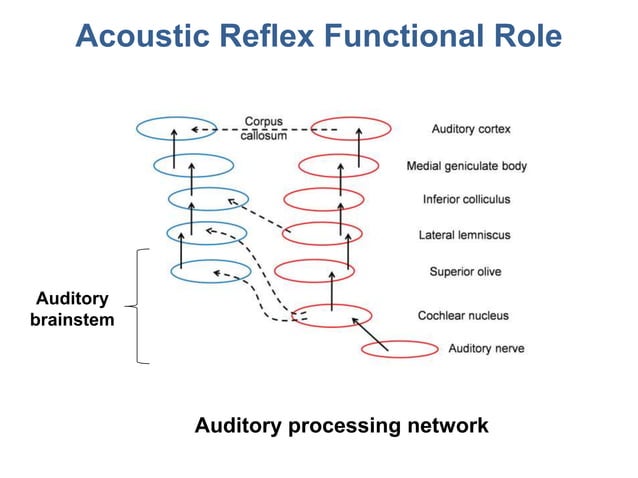 Advancement in acoustic reflex measures | PPTX | Digital Audio ...