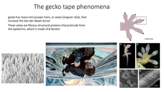 Advancement in physics and electronics | PPTX