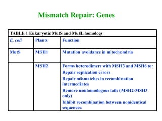Advancement of mutant population | PPTX