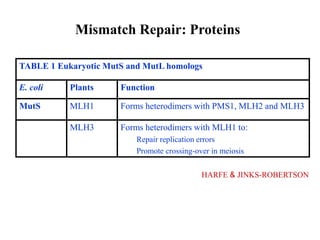 Advancement of mutant population | PPTX