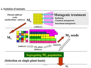 Advancement of mutant population | PPTX