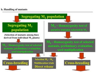Advancement of mutant population | PPTX