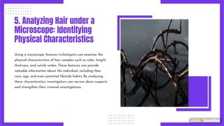 advancements-in-forensic-trichology-unveiling-the-secrets-of-hair-in ...