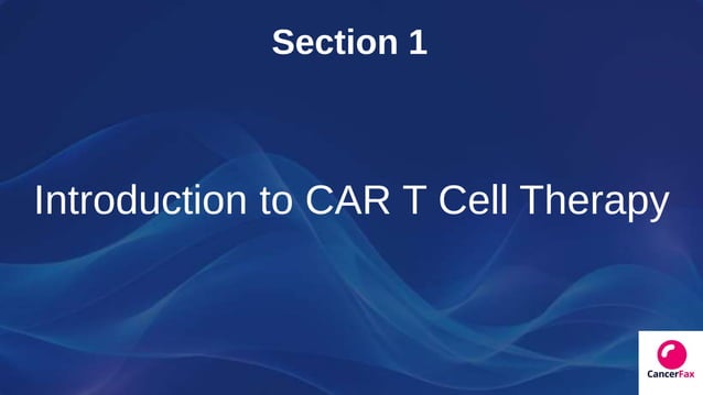 Advancements in CAR T Cell Therapy Clinical Trials in China.pptx