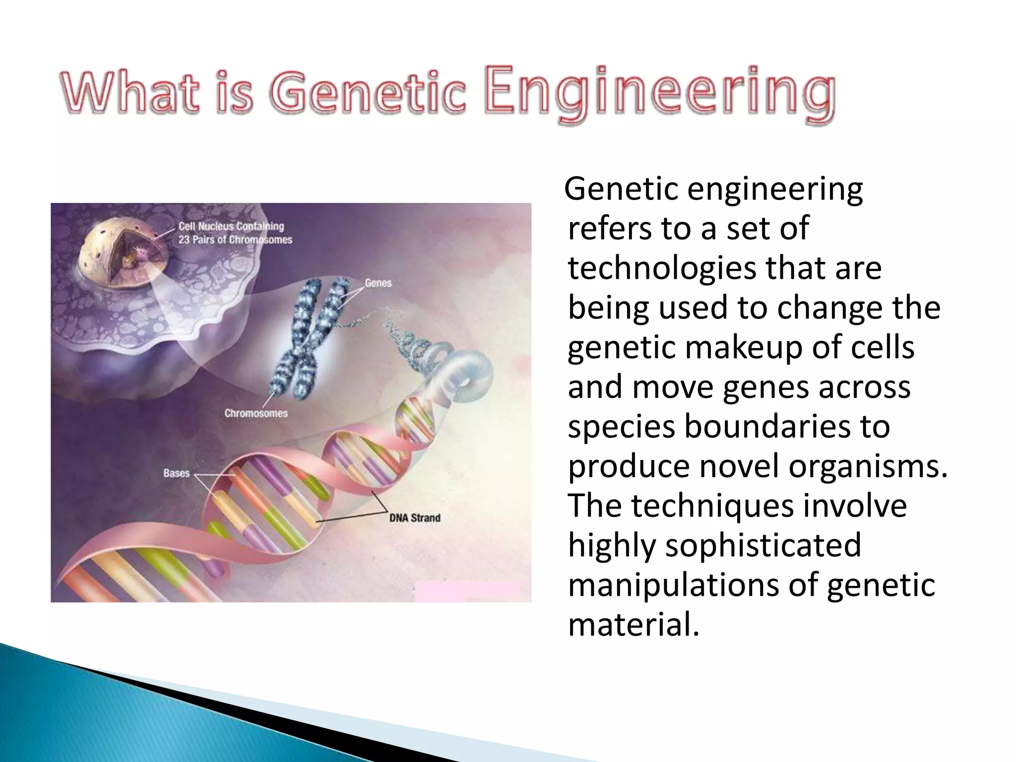 Advancements in Genetic Engineering | PPTX