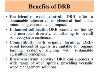 Advancements in Non-Chemical Weed Management.pptx