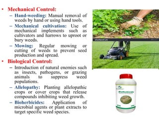 Advancements in Non-Chemical Weed Management.pptx