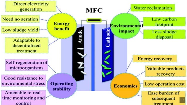 Microbial fuel cell (Advance mini project) | PPT