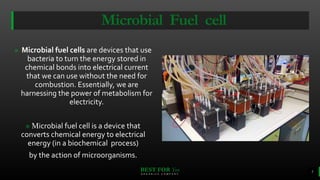 Microbial fuel cell (Advance mini project) | PPTX
