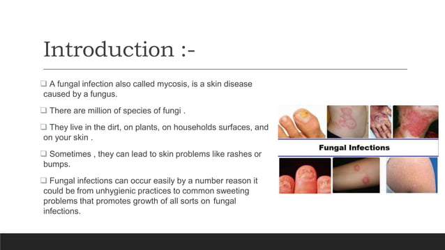 ANTI FUNGAL AGENTS AND THEIR MECHANISM OF ACTION. | PPT