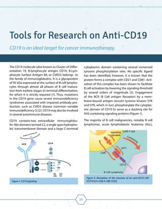 Advances-in-car-t-cell-therapy-research.pdf