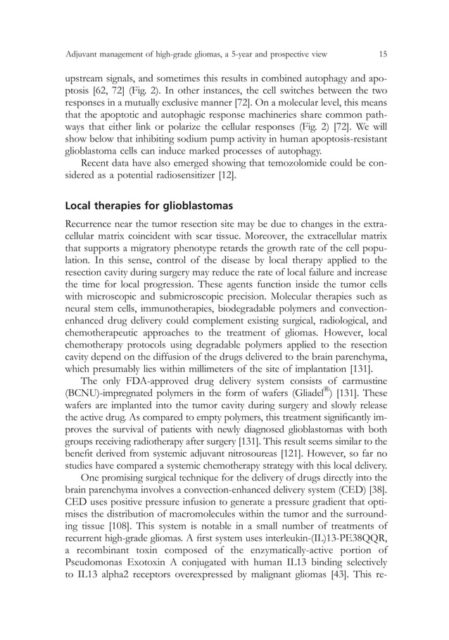 Advances and technical standards in neurosurgery | PDF