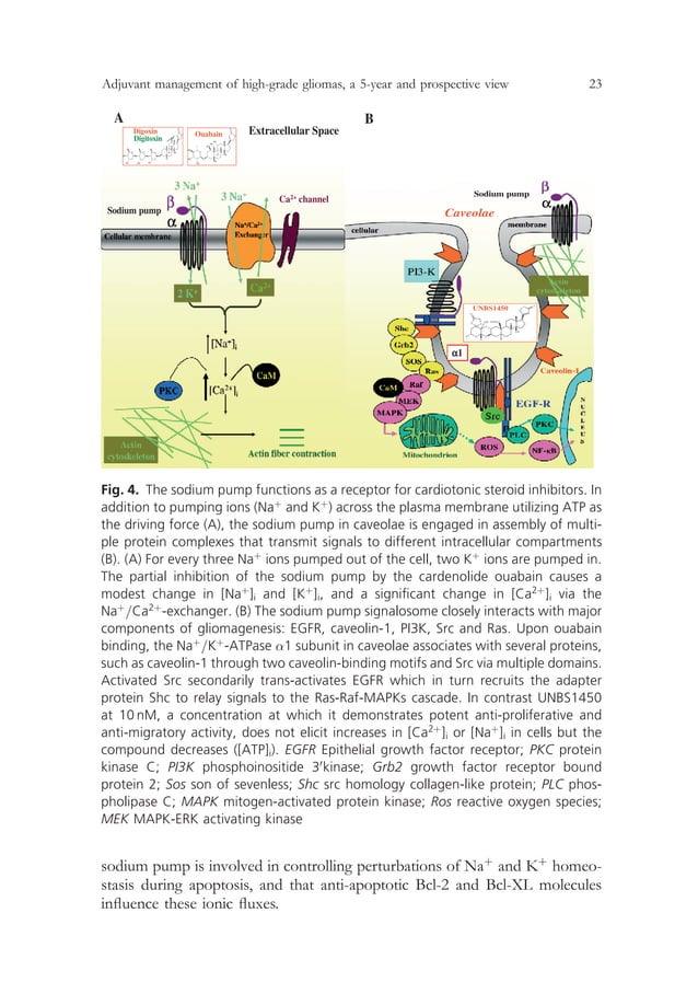 Advances and technical standards in neurosurgery | PDF