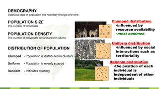 Population and Environment | PPTX