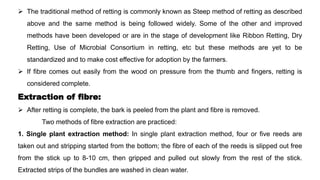 Advances in agronomy of Jute (Corchorus sp.) | PDF