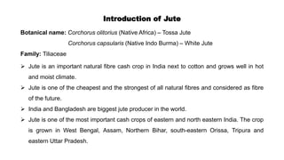 Advances in agronomy of Jute (Corchorus sp.) | PDF