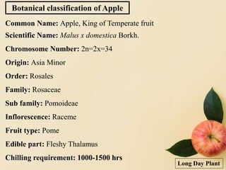 Advances in Apple Breeding (Sanjay Chetry).pptx