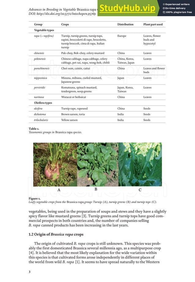Advances In Breeding In Vegetable Brassica Rapa Crops | PDF
