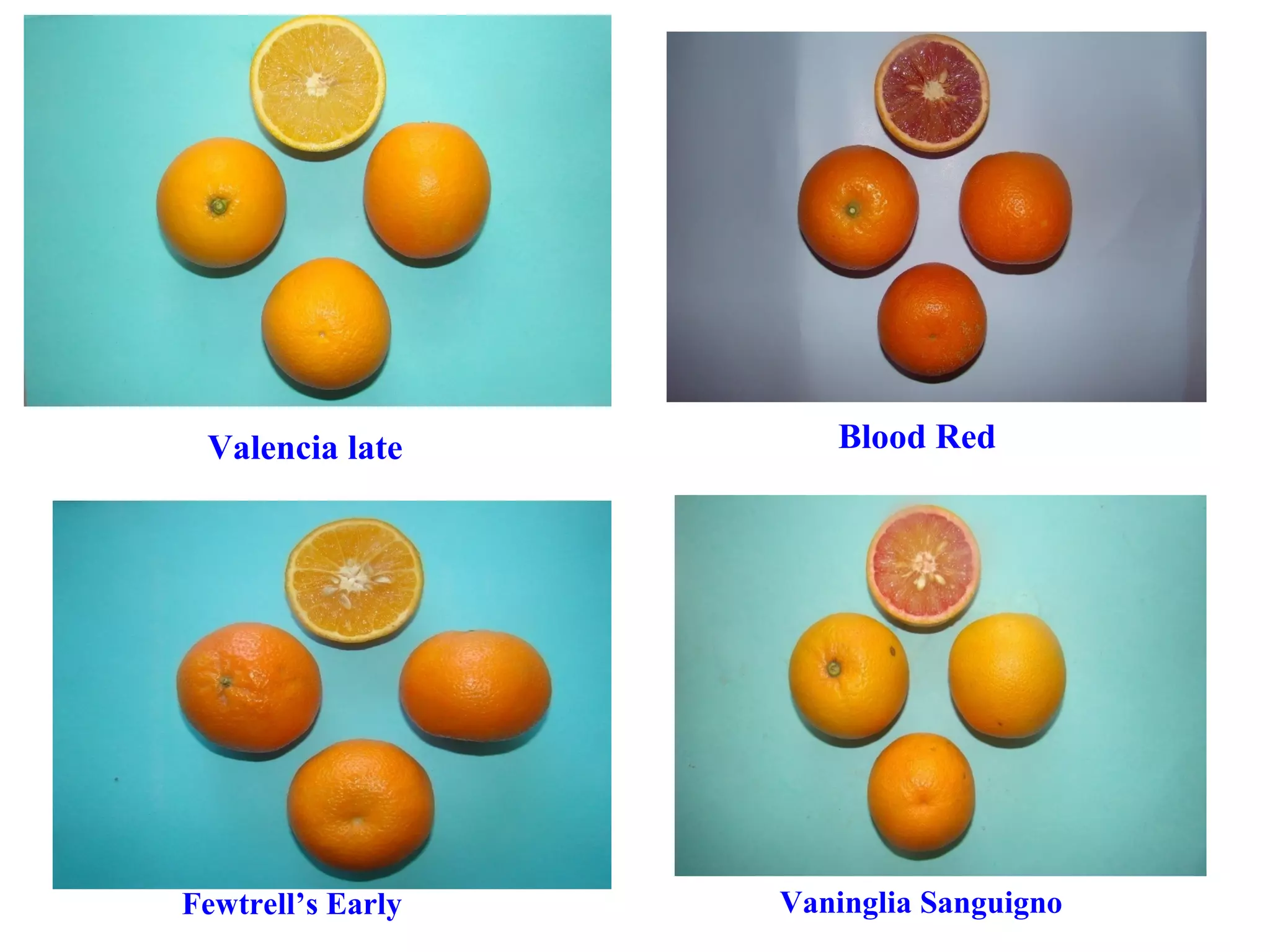 Advances in breeding of citrus | PPT