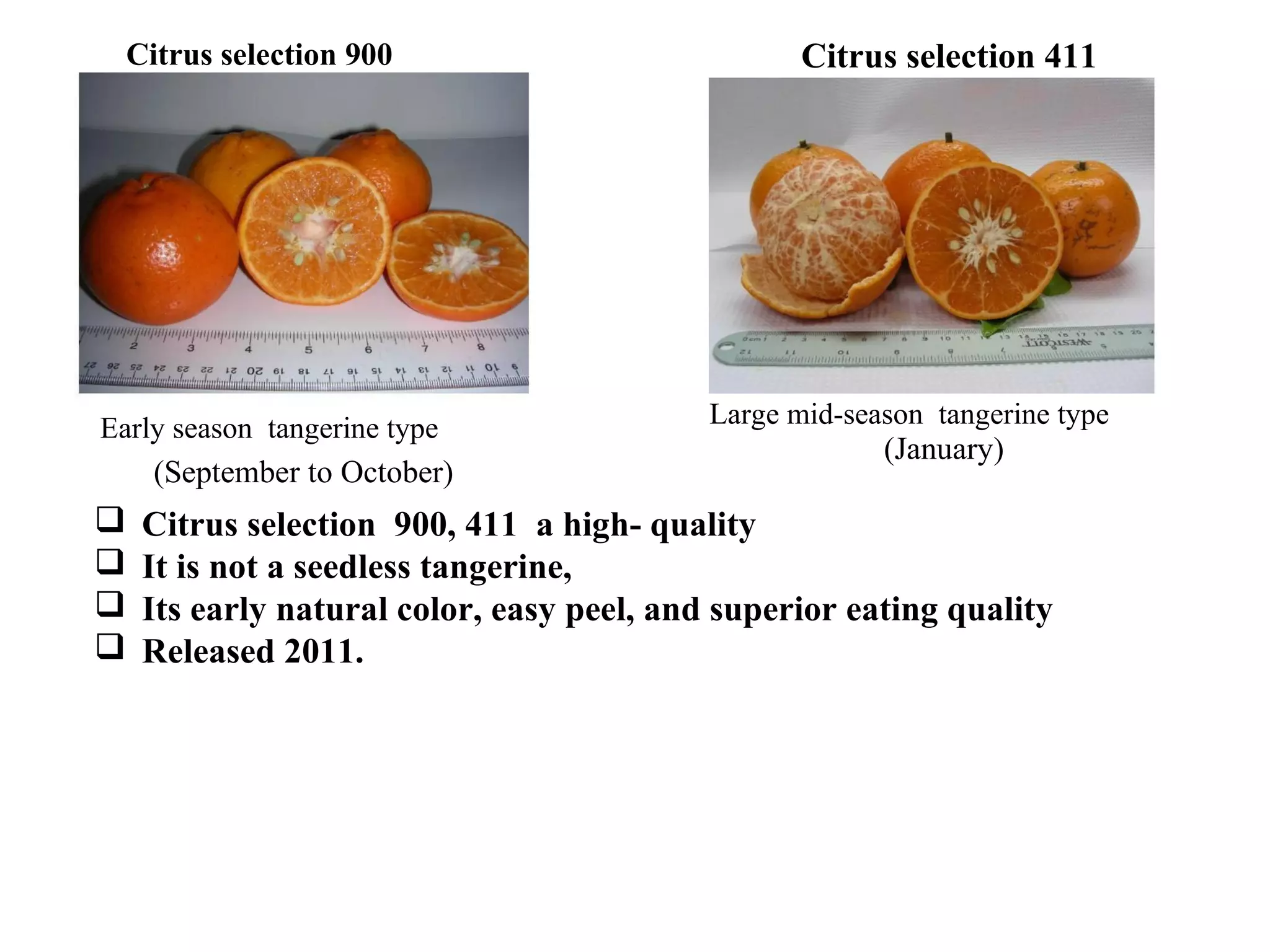 Advances in breeding of citrus | PPT