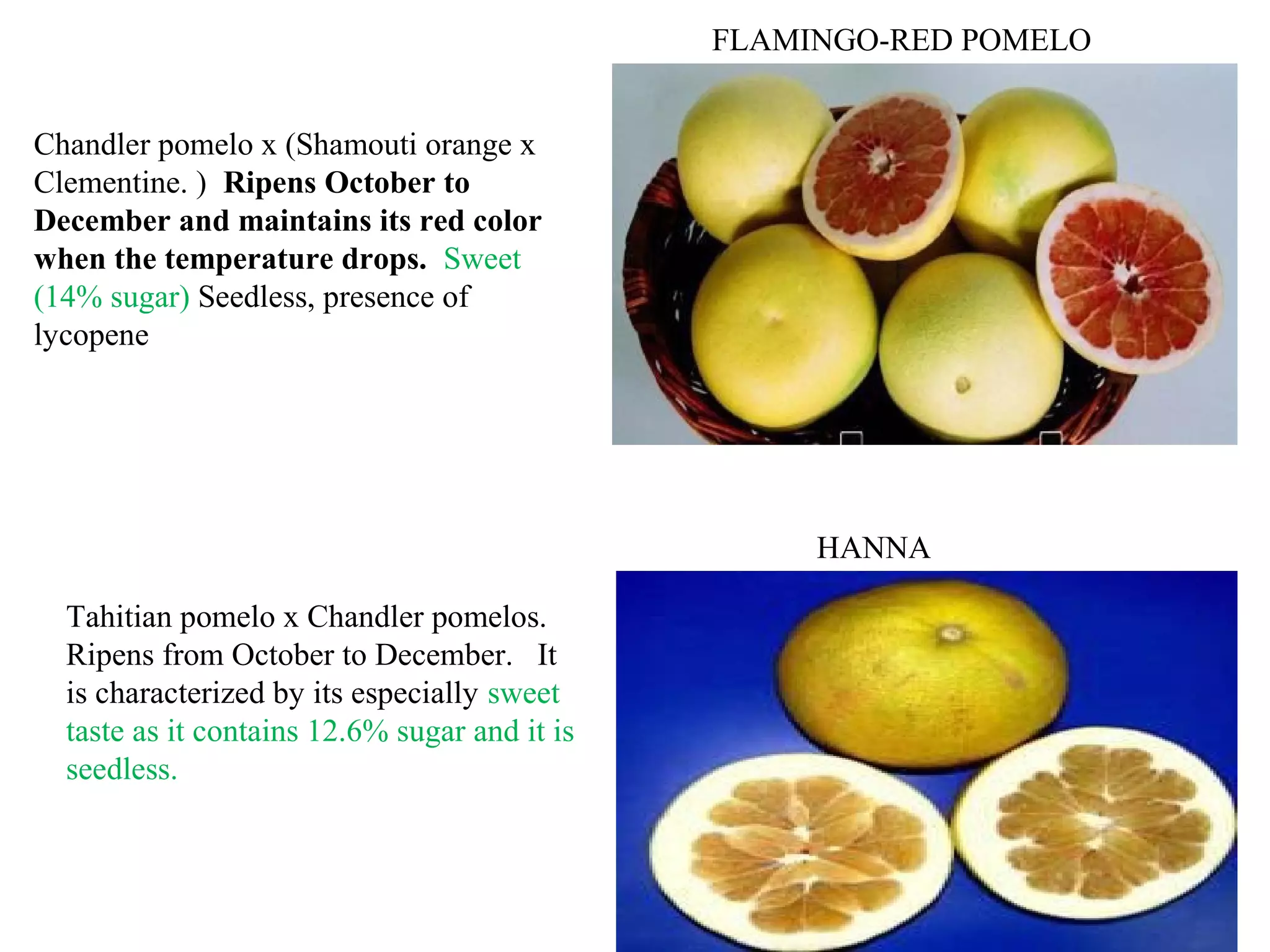 Advances in breeding of citrus | PPT