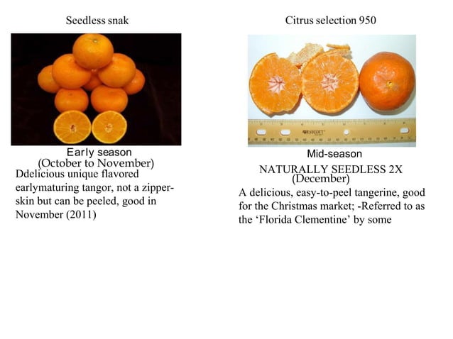 Advances in breeding of citrus | PPT