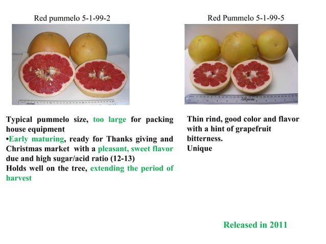 Advances in breeding of citrus | PPT