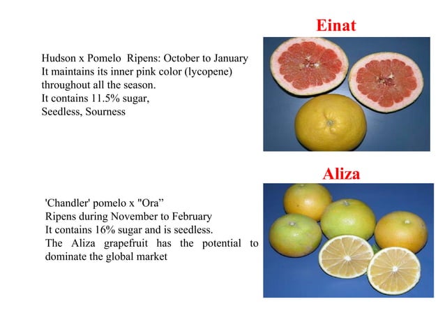 Advances in breeding of citrus | PPT
