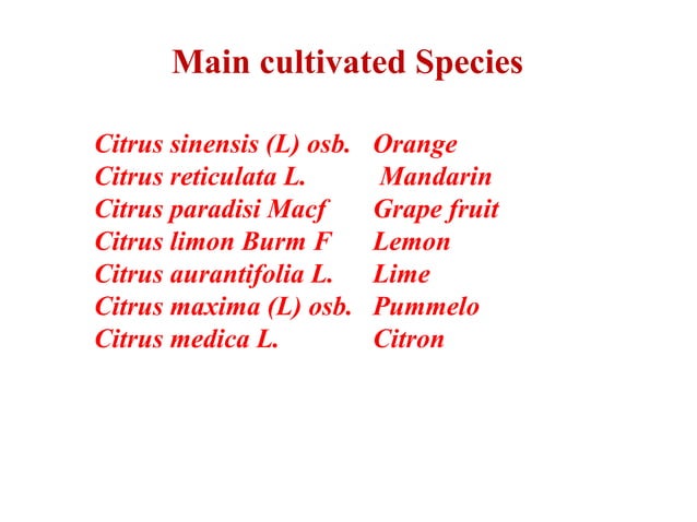 Advances in breeding of citrus | PPT