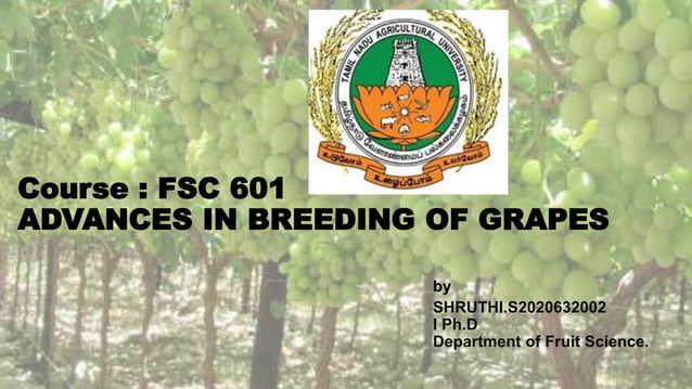 Advances in breeding of grapes | PPTX