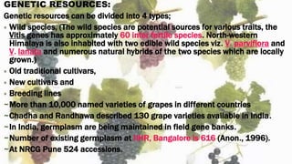 Advances in breeding of grapes | PPTX