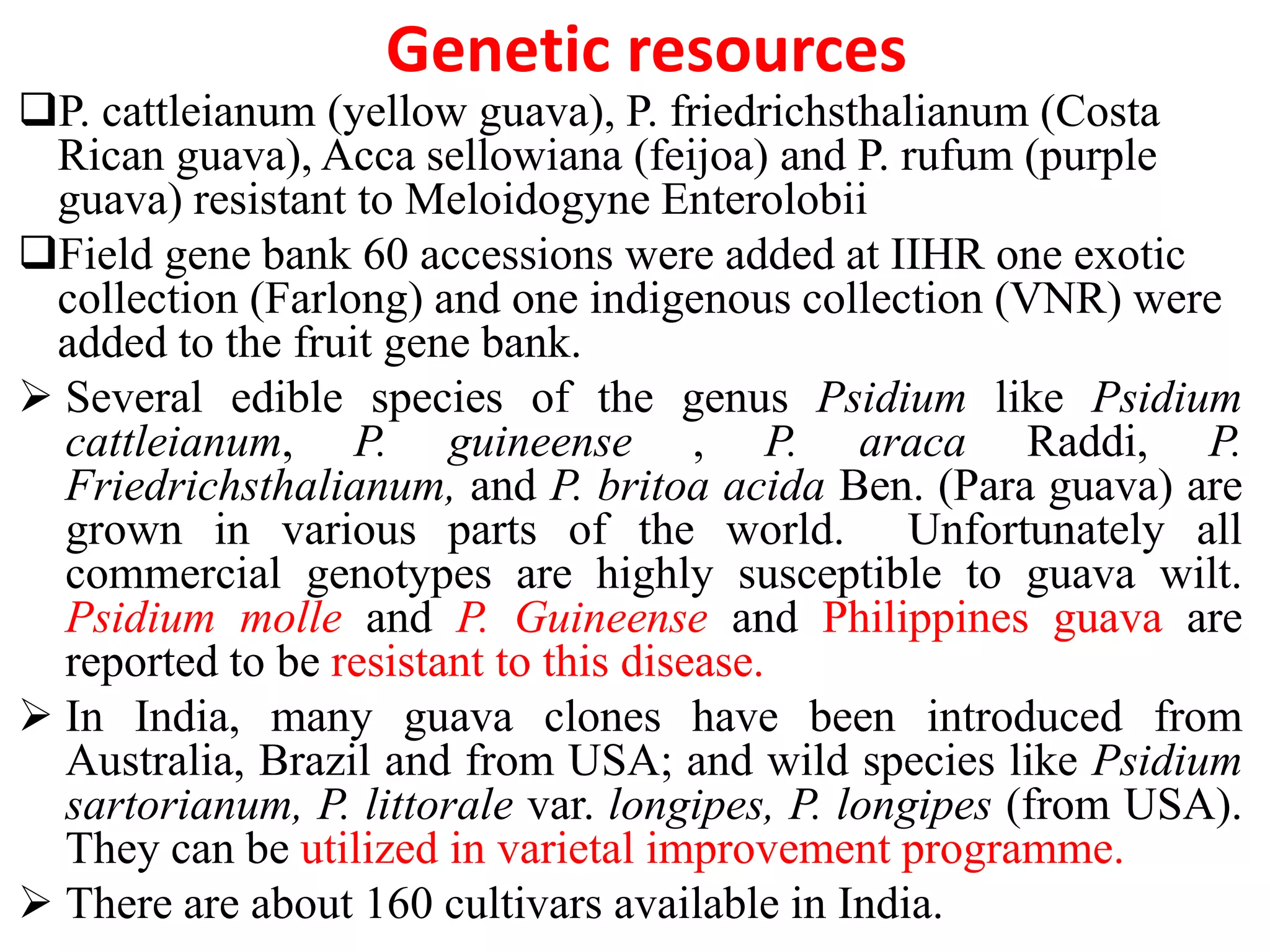 Advances in breeding of guava | PPTX
