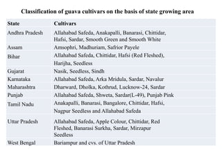 Advances in breeding of guava | PPT