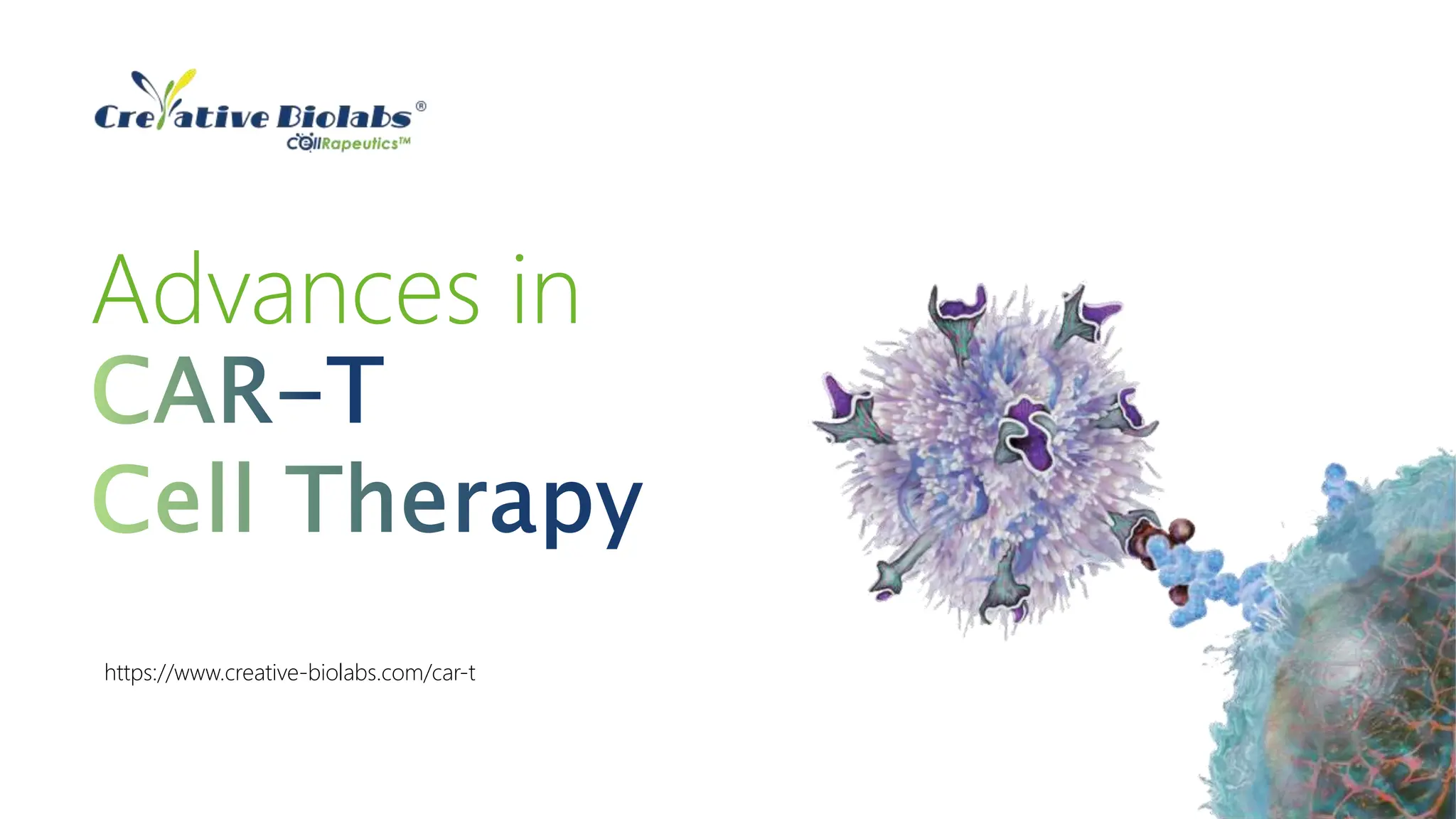 Advances in CAR-T Cell Therapy - Creative Biolabs | PPTX